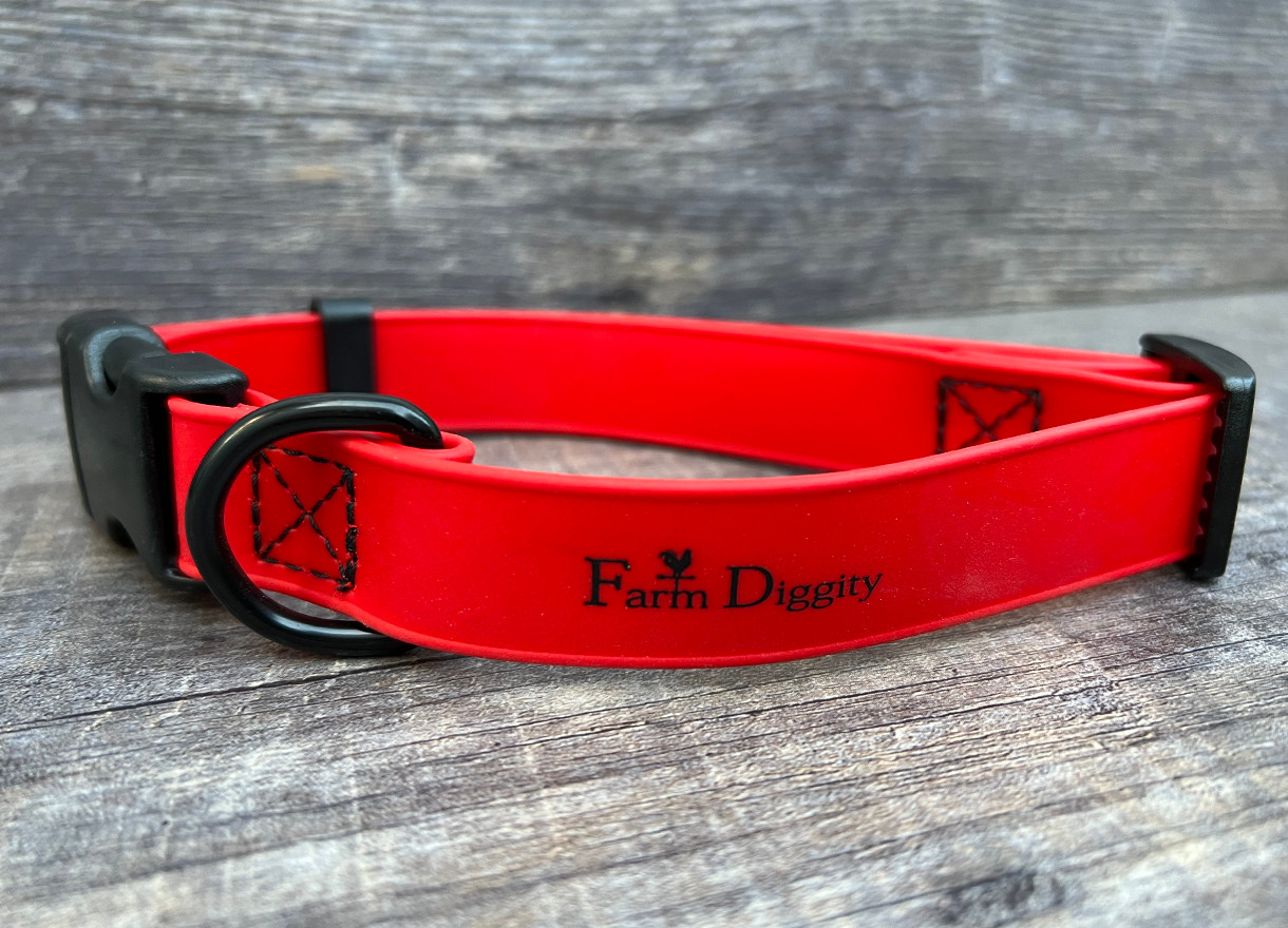 Adjustable buckle Biothane Dog Collars