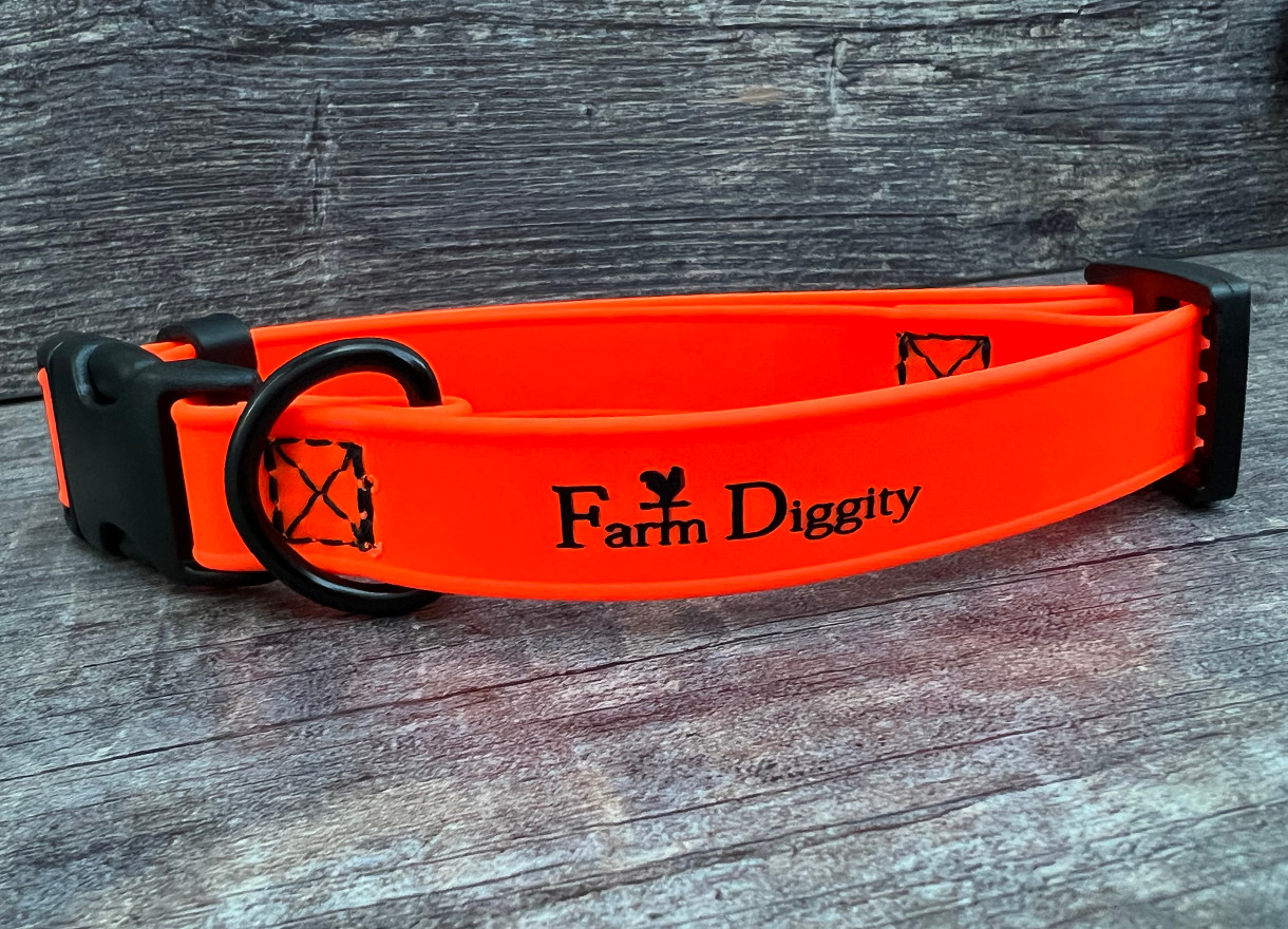Adjustable buckle Biothane Dog Collars