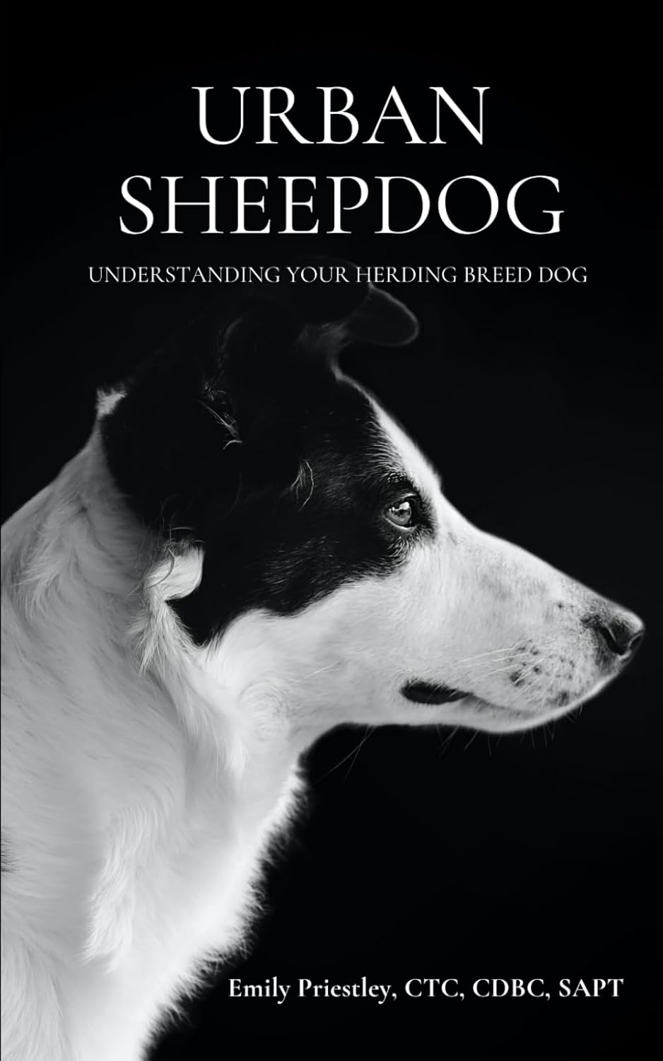 Urban Sheepdog: A guide to understanding herding breed dogs in pet homes.