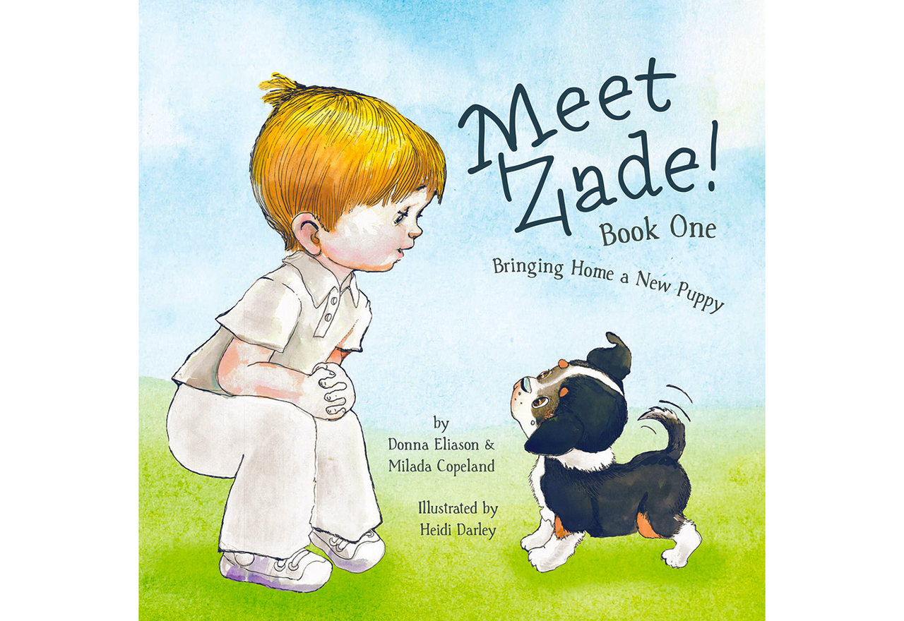 Meet Zade, children's book