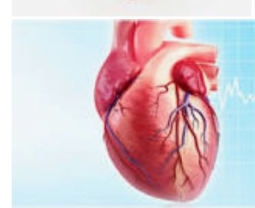 Pediatric Board Review String of 5 Cardiology Pearls - Laughing Your ...