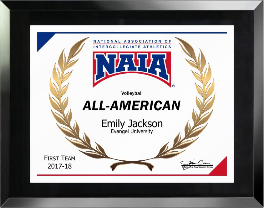 Team Store - NAIA - Collegiate Awards
