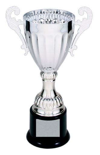 silver trophy cup