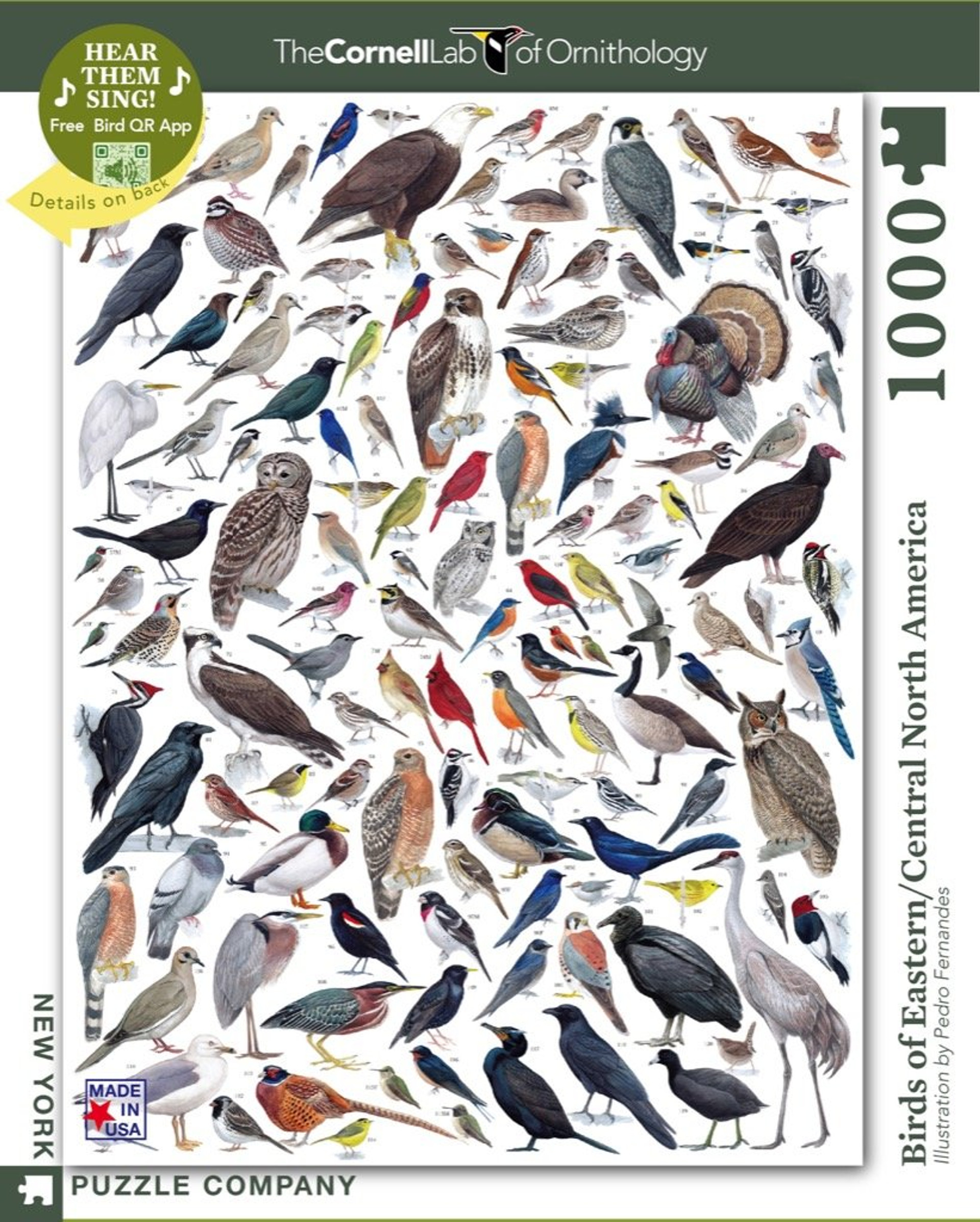 Peterson Field Guide to Birds Eastern & Central North America Seventh ...