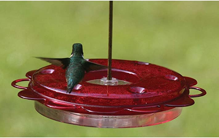 Birdwatching - Bird Feeders - Nectar Feeders - Mass Audubon Shop