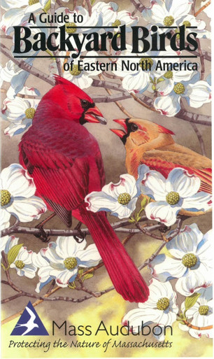 A Guide to Backyard Birds of Eastern North America - Mass Audubon Shop