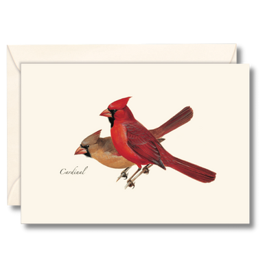 Boxed Notes Cardinal Pair - Mass Audubon Shop