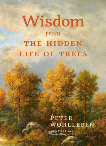 Wisdom from the Hidden Life of Trees - Mass Audubon Shop