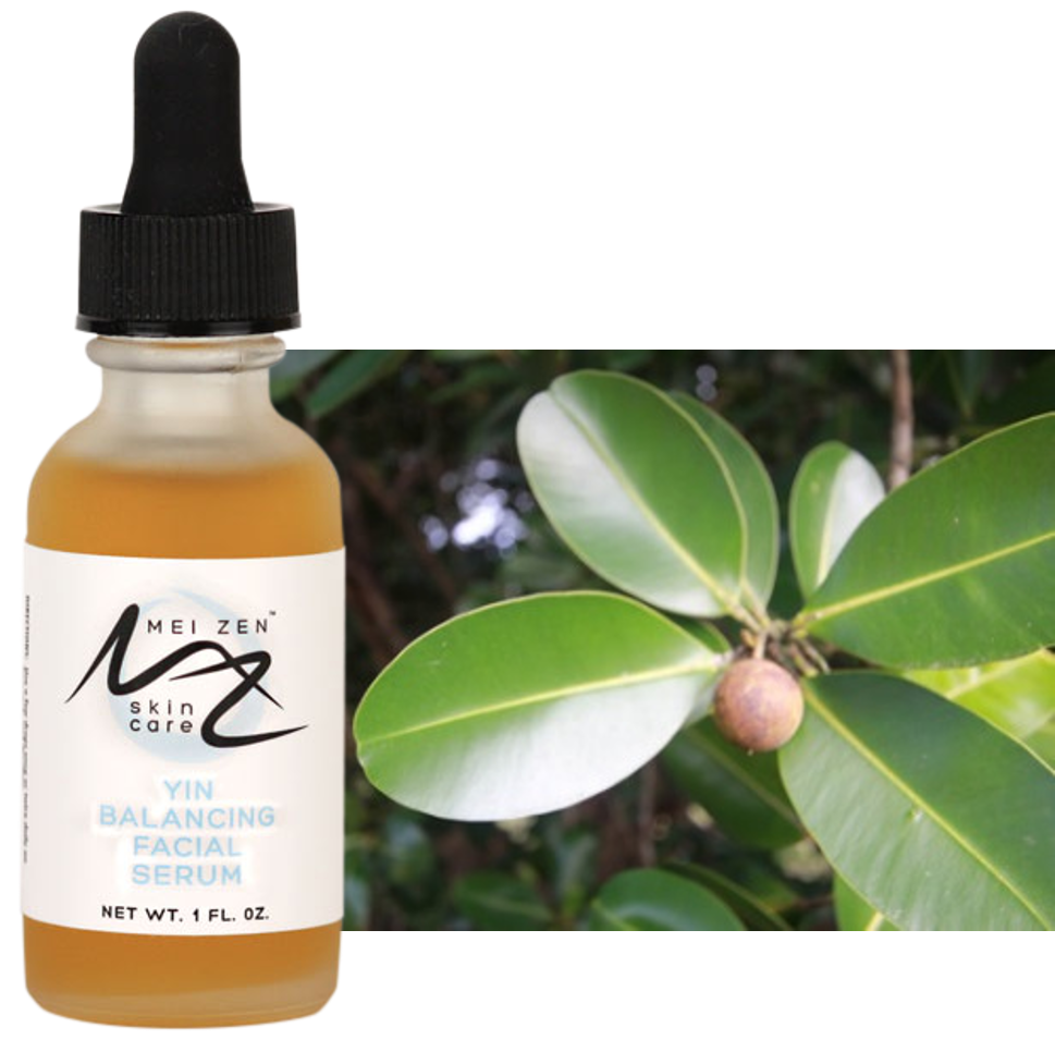 Mei Zen Skin Care: Cleansing Your Skin - My Zen Skin Care