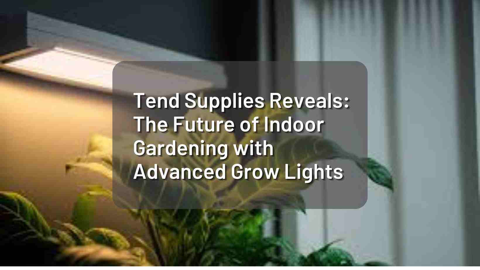 Tend Supplies Reveals: The Future of Indoor Gardening with Advanced ...