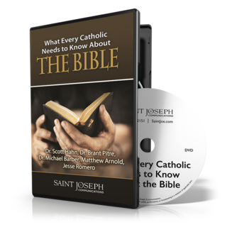 What Every Catholic Needs To Know About the Bible - Study Guide - Cedar ...