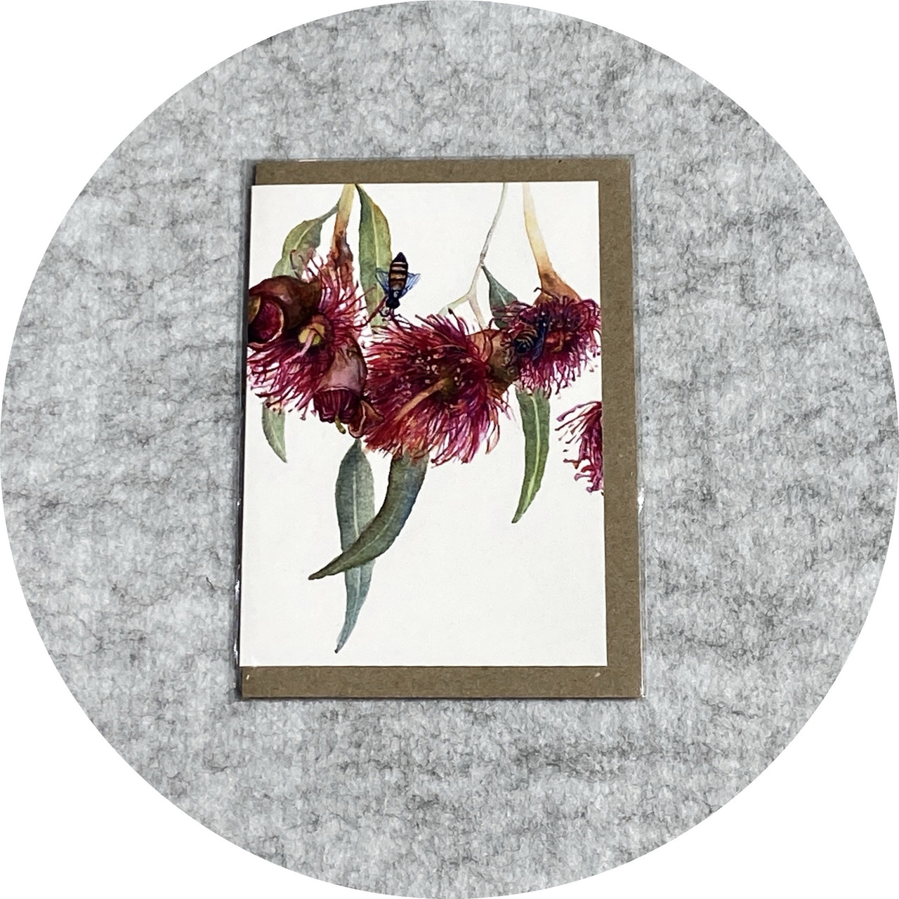 Elaine Camlin - Australian Native Collection: 'Flowering Silver ...