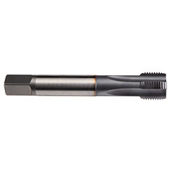 Emuge C0109401.0145 | M45 - Tap - Rekord A-Z - All Industrial Tool Supply