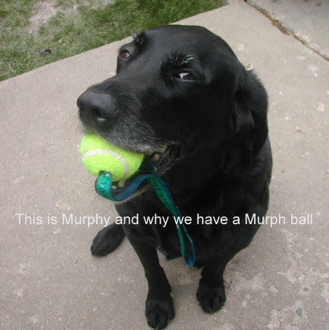 Murph Ball