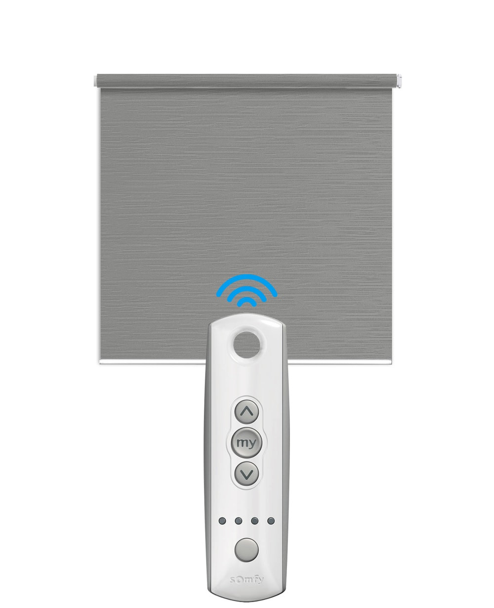SOMFY Light Filtering Smart Home Motorized Roller Shades