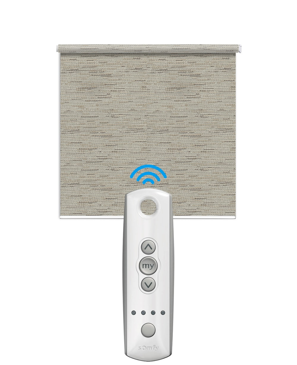 SOMFY Light Filtering Smart Home Motorized Roller Shades