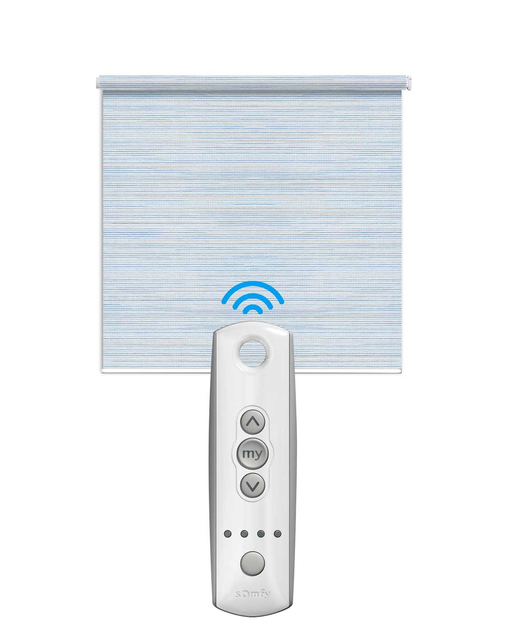 SOMFY Light Filtering Smart Home Motorized Roller Shades