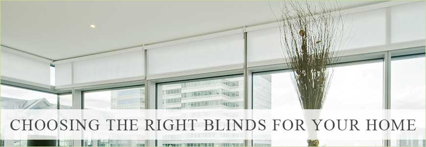 Choosing the Perfect Blind 101 - Springblinds