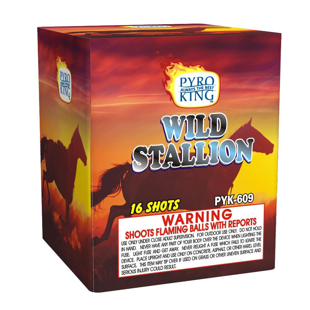 Wild Stallion 16 shot 200 Gram Cake - Pyro King Brand Fireworks