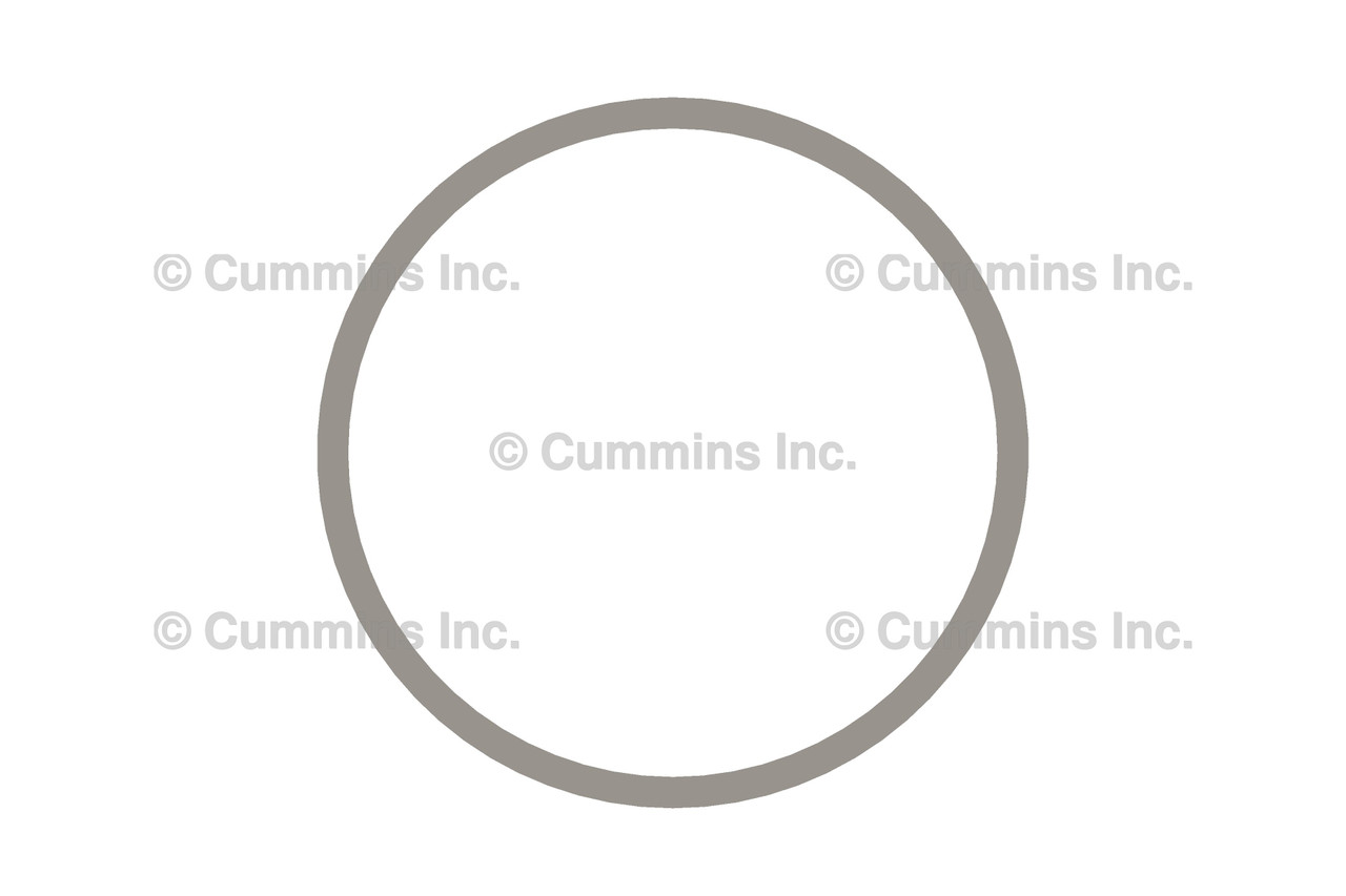 CUMMINS 3862524 Ring Seal