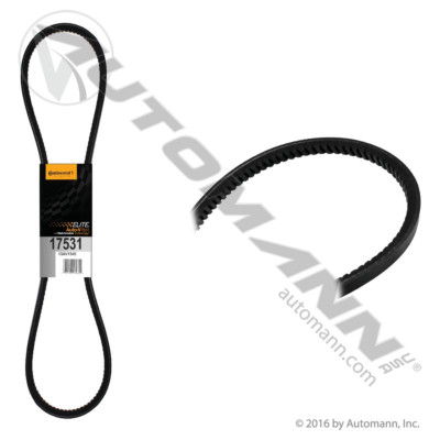 AUTOMANN 815.17531 Continental V-Belt