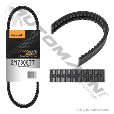 AUTOMANN: Continental Elite Dual V-Belt