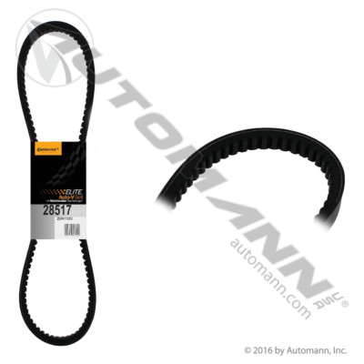 AUTOMANN 815.28517 V-Belt - Continental