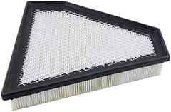 Baldwin PA10278 BMW Air Filter