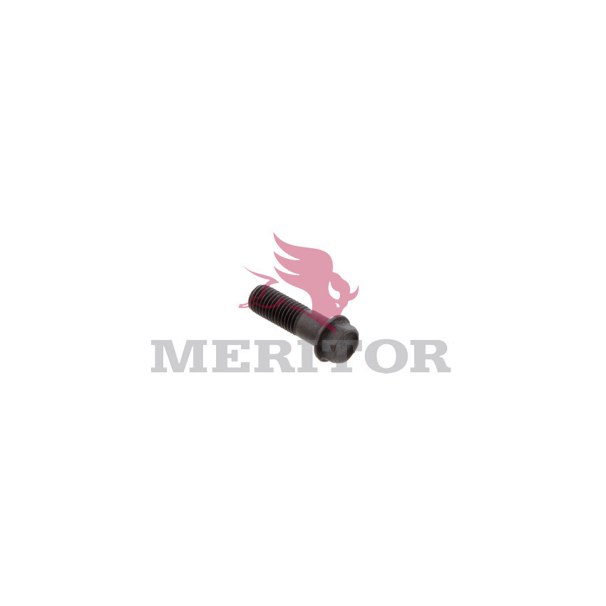 MERITOR CS H5 24 27 Capscrews (50 Pack)