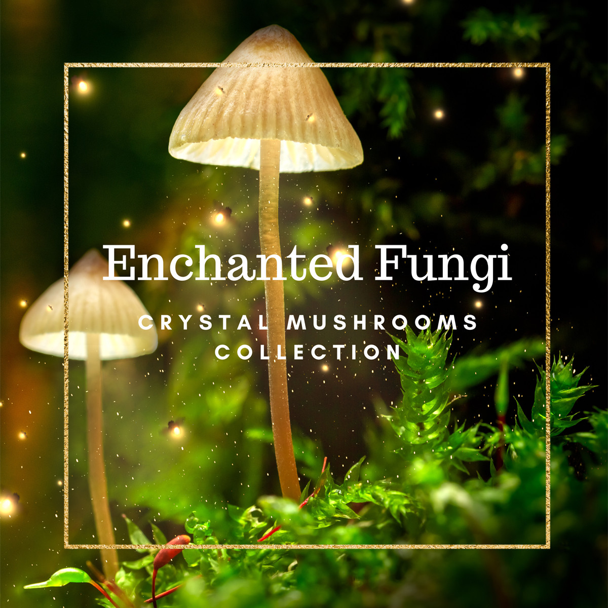 Enchanted Fungi Mix | Crystal Mushrooms Collection