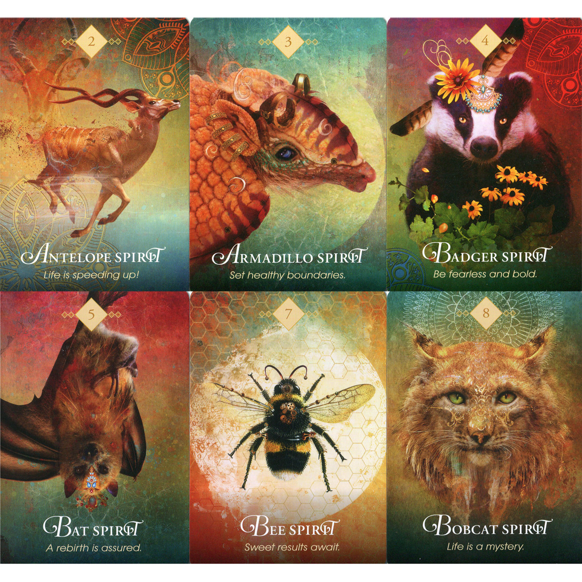 The Druid Animal Oracle (Cards, Cloth & Book Set)