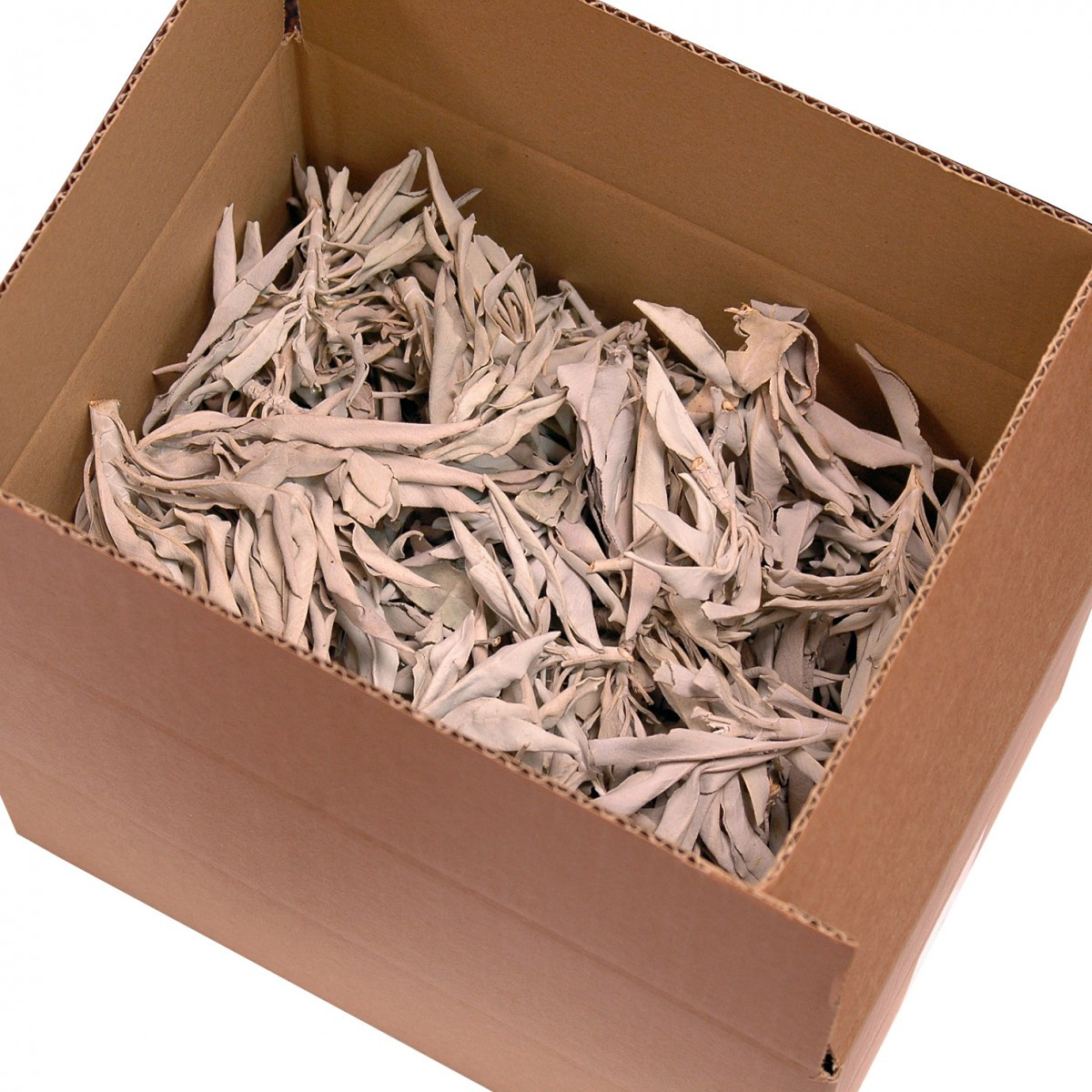 White Sage Leaf Clusters | Premium Grade | Holisticshop.co.uk