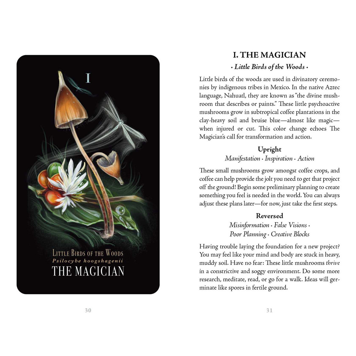 Midnight Magic Tarot by Sarah Richard | Holisticshop.co.uk