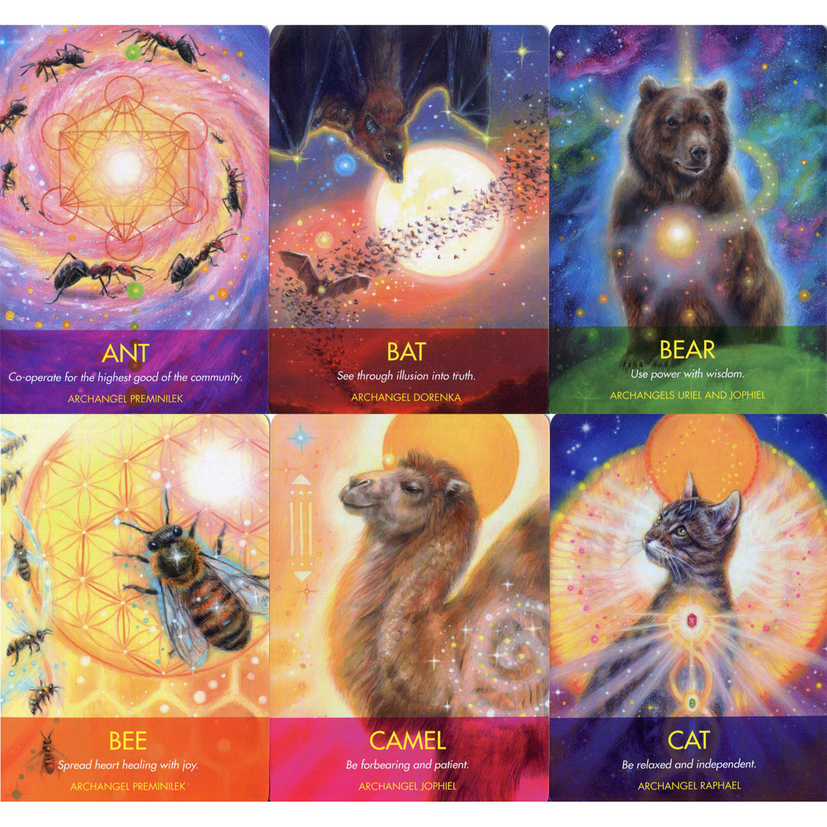 Unicorn Oracle Cards by Diana Cooper | Holisticshop.co.uk