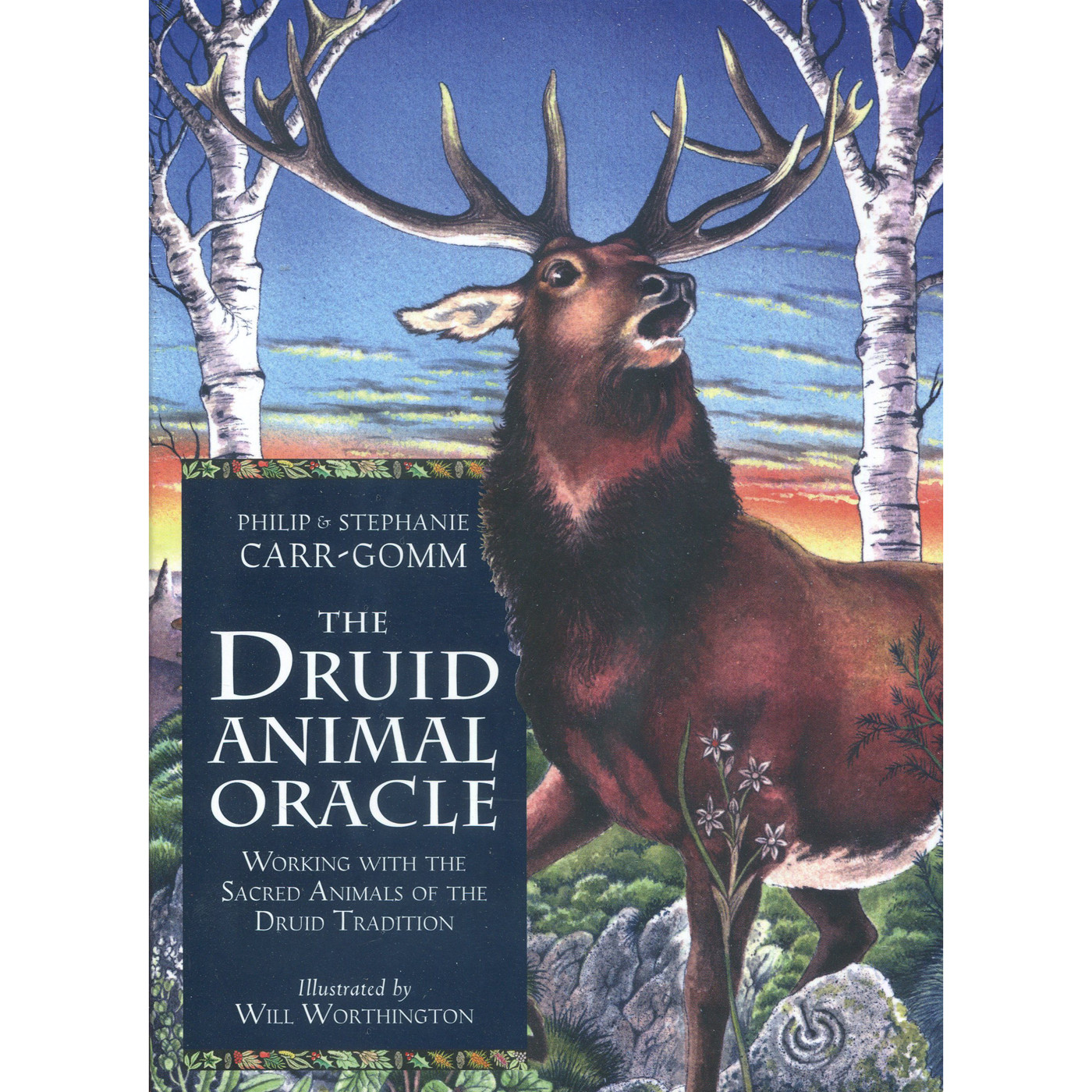 The Druid Craft Tarot | Card & Book Set | Holisticshop.co.uk