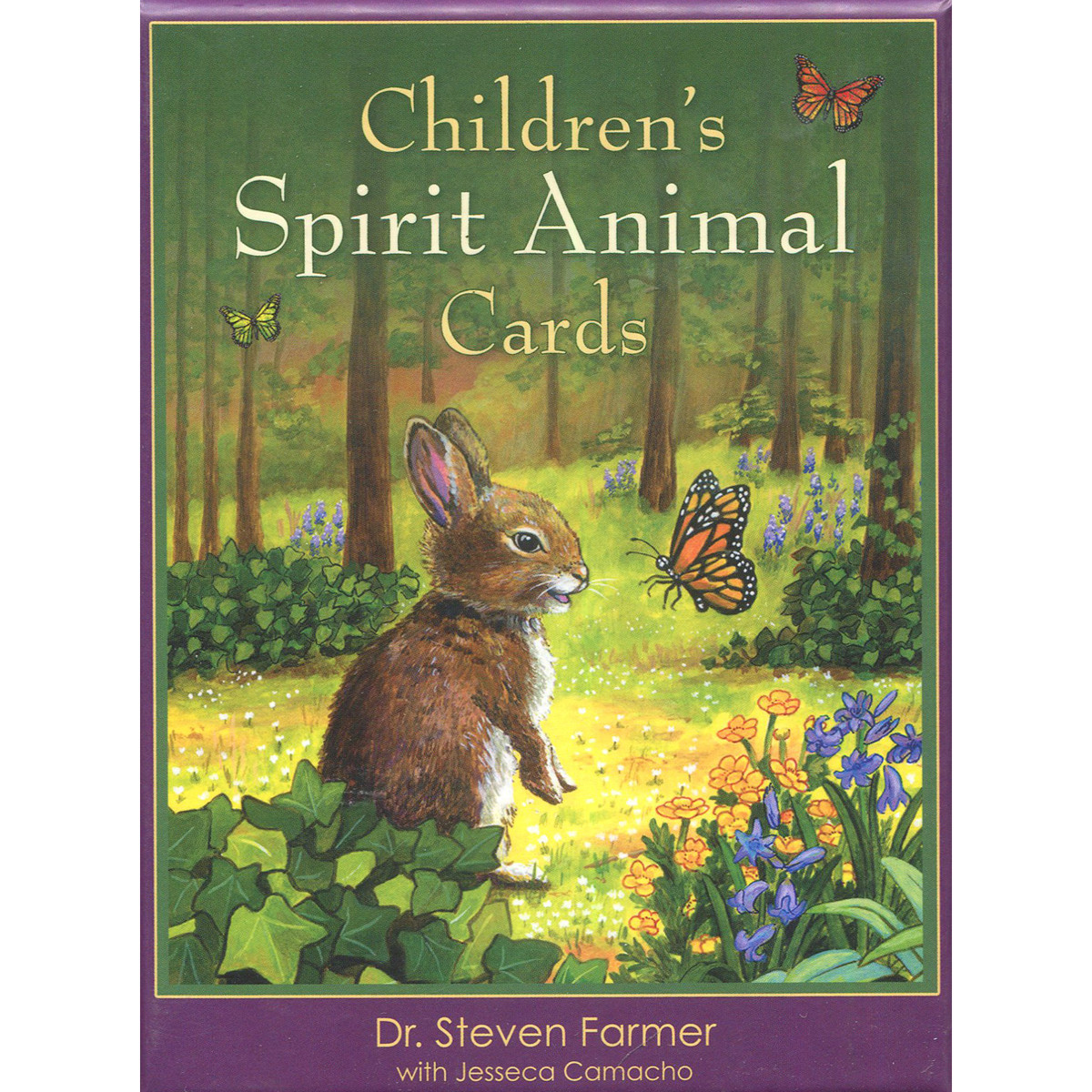 Messages from your Animal Spirit Guides Oracle Cards