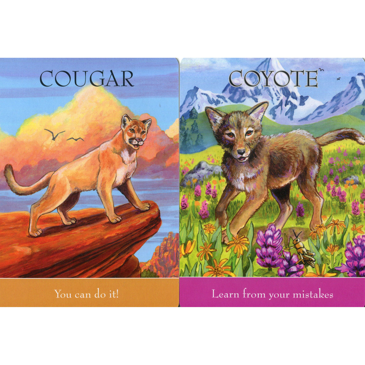 Messages from your Animal Spirit Guides Oracle Cards