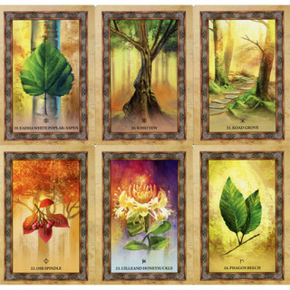 Celtic Tree Oracle by Sharlyn Hidalgo | Holisticshop.co.uk