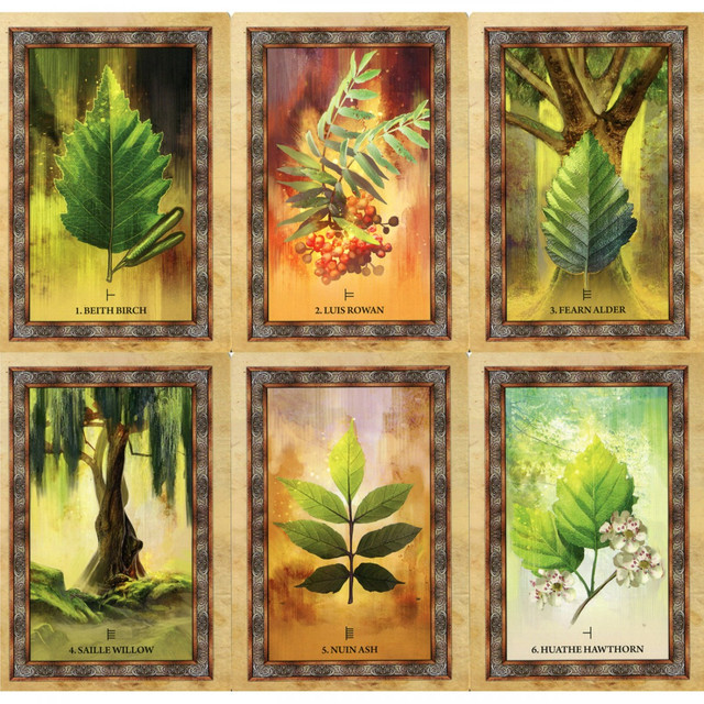 Celtic Tree Oracle by Sharlyn Hidalgo | Holisticshop.co.uk