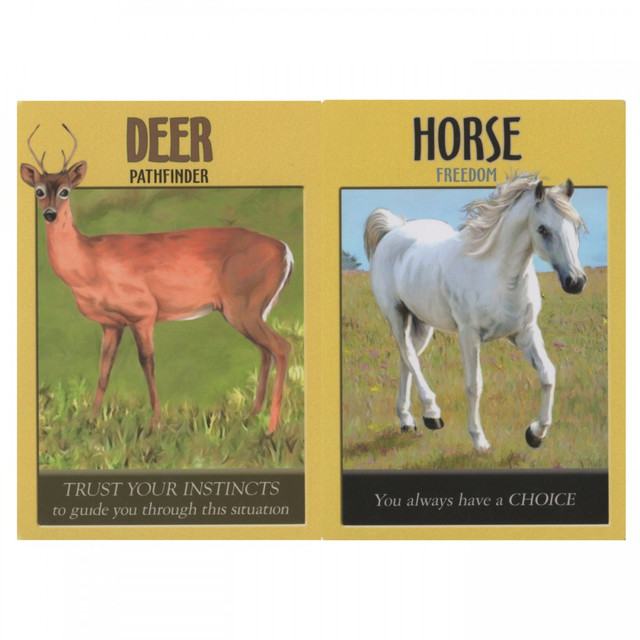Messages from your Animal Spirit Guides Oracle Cards