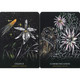 Flowers of the Night Oracle by Cheralyn Darcey | Holisticshop