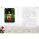 Seasons of the Witch Litha Oracle by Lorriane Anderson