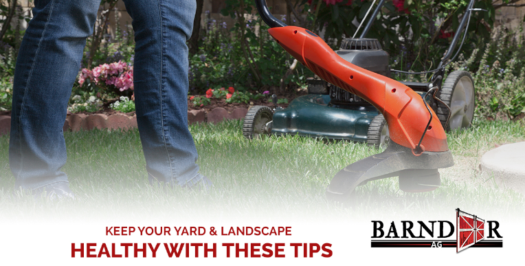Tips to Keep Your Yard & Landscape Healthy - BARNDOOR AG