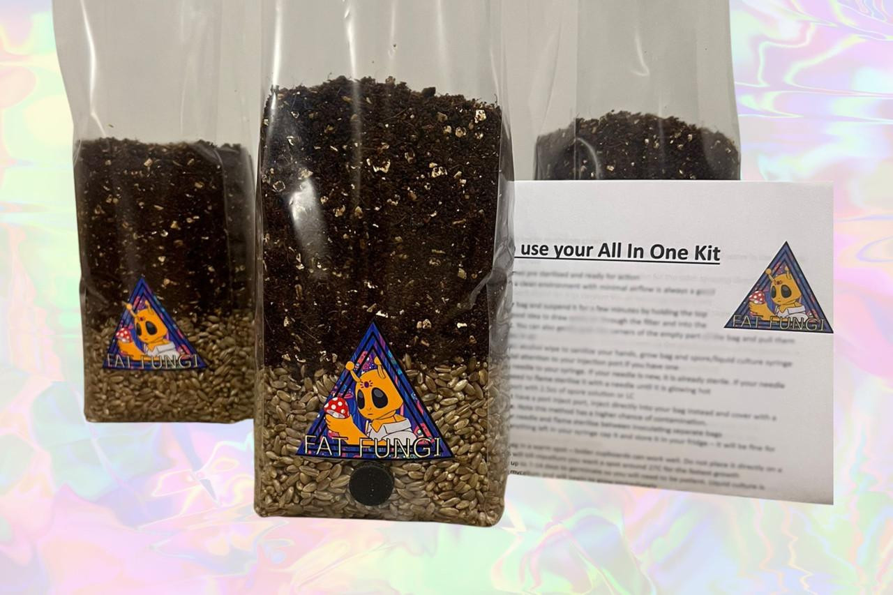 All In One Kits - Multiple sizes - Rye Grain + CVG Substrate