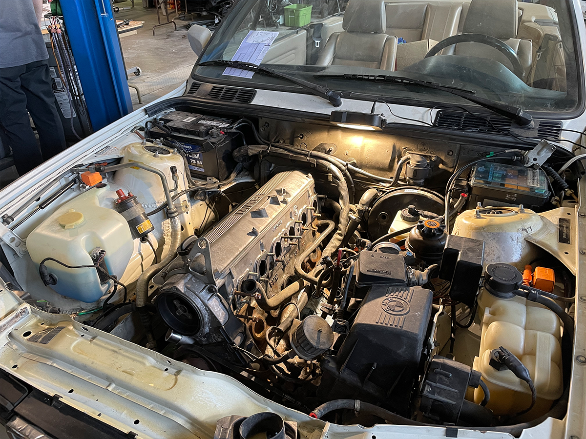 1993 BMW E30 M20 Restoration - recycleBMWs