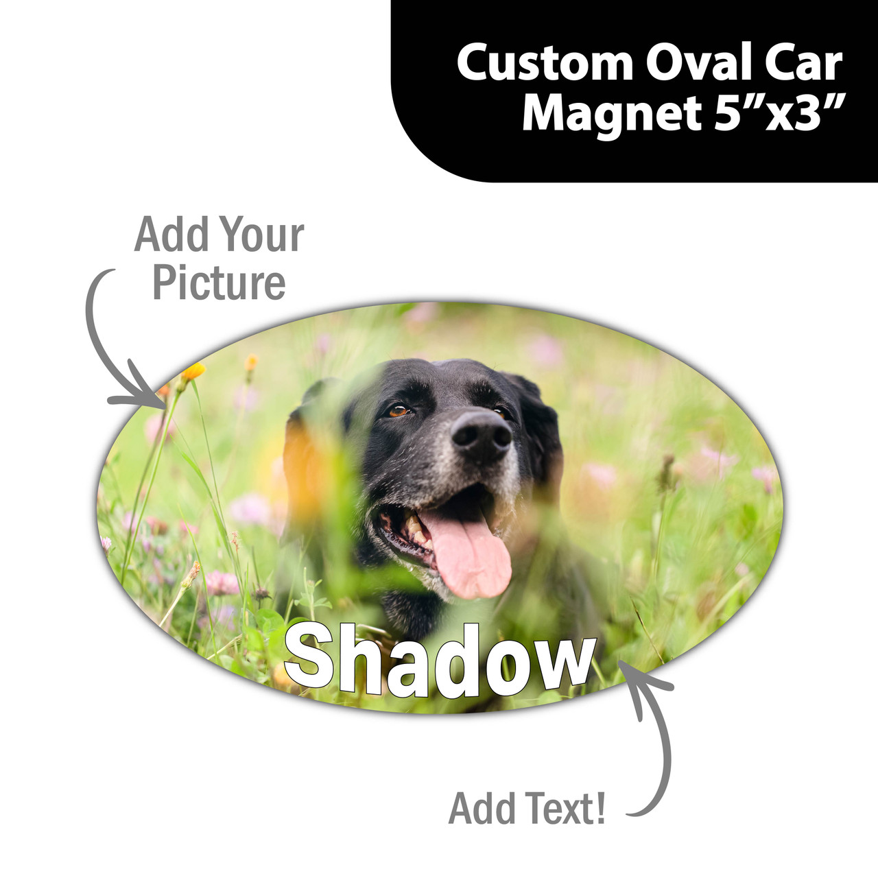 Custom Oval Car Magnet - WeHa Print