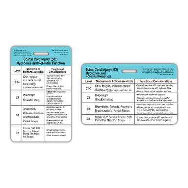 SCI C1-T12 Myotomes & Functional Considerations Badge Card - Scrub Pocket
