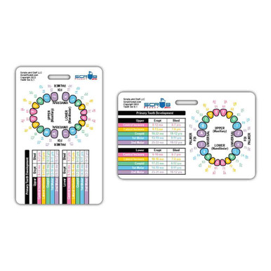Dental Numbering Badge Card - Scrub Pocket