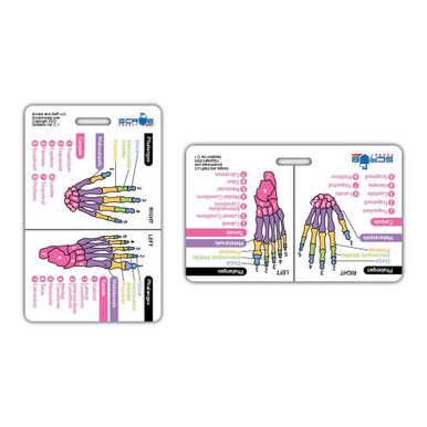 Skeletal Bones of Head, Hand, & Foot Badge Card - Scrub Pocket