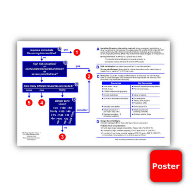 ESI Algorithm & Details/Definitions 19"x13" Poster - Scrub Pocket